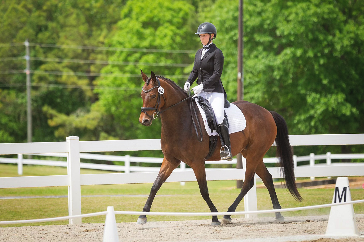 Training – McBriar Farm